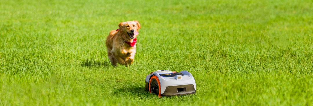 About Segway Navimow - Choose Life without Boundaries ｜Segway Navimow